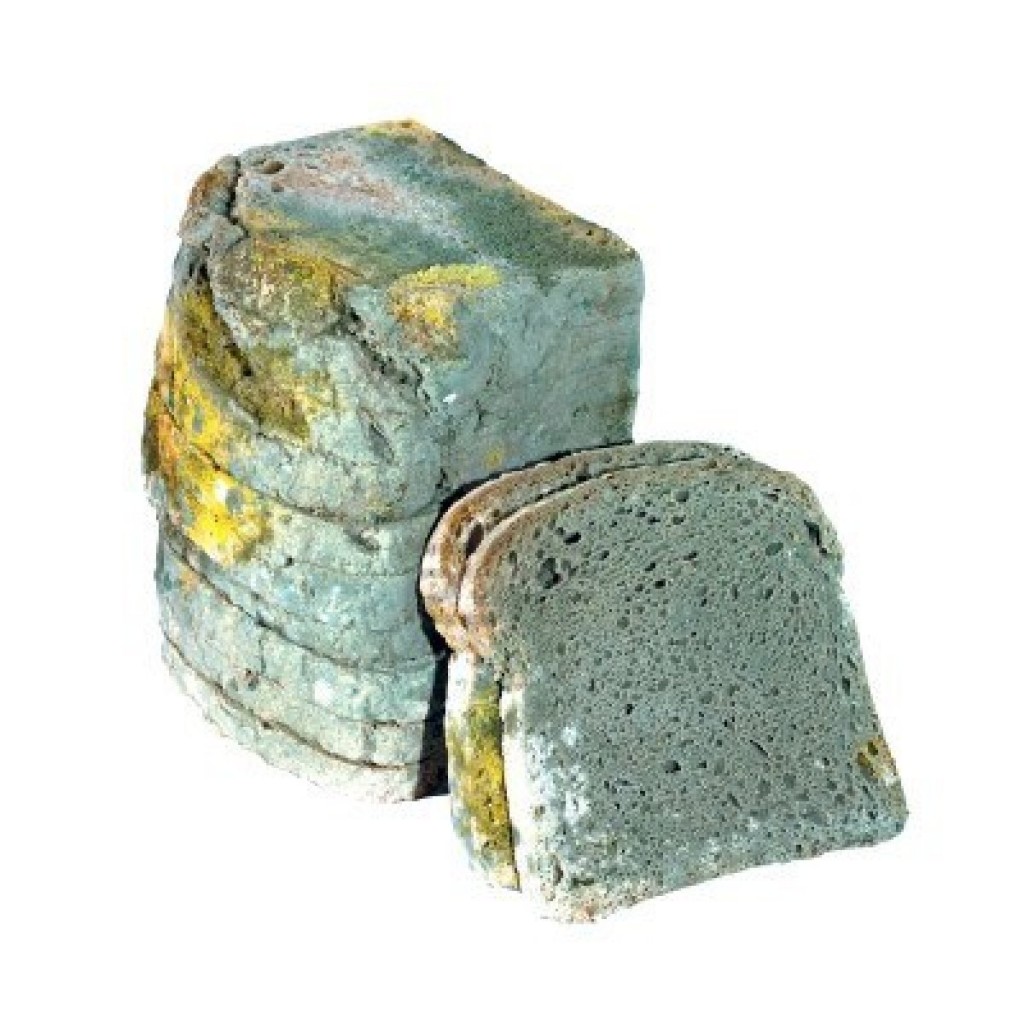 Penicillin and Bread Crumbs through history.... - Live and Learn Farm